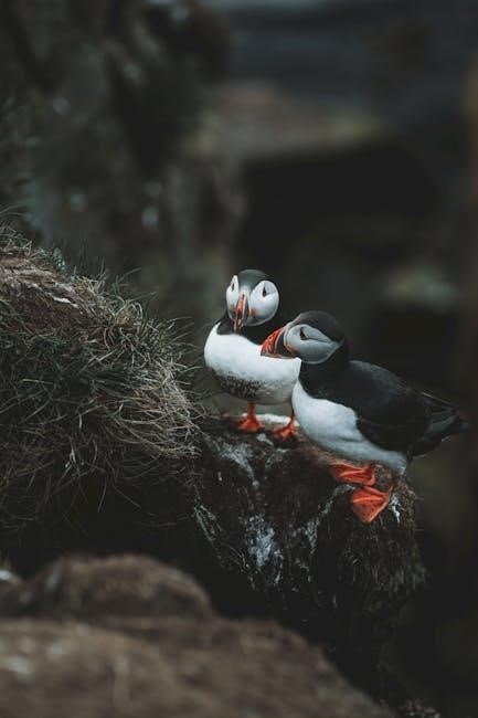 Bird Nests: The Ultimate Guide to Nesting Habits - PDF